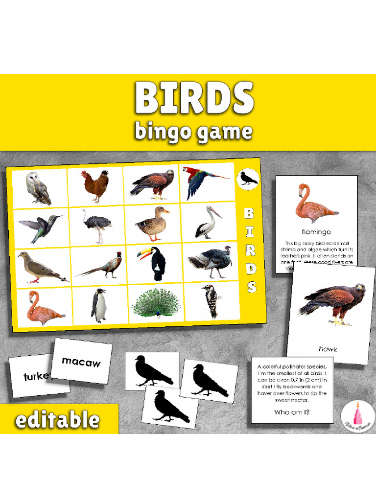 Birds Bingo Game Editable Compressed | PDF | Birds | Beak
