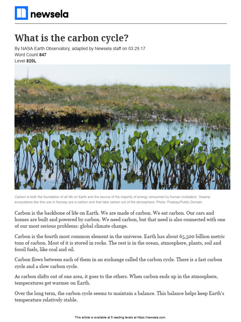 8th Grade Carbon Cycle NewsELA-2 | PDF | Carbon Cycle | Atmosphere Of Earth