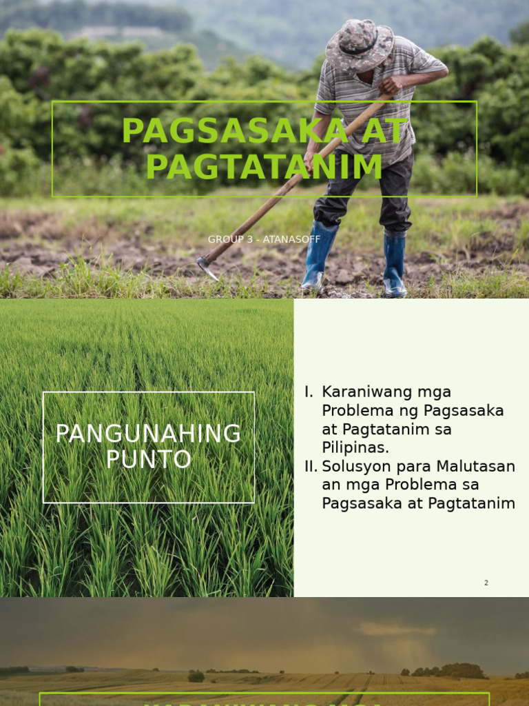 AP Presentation Group 3 | PDF