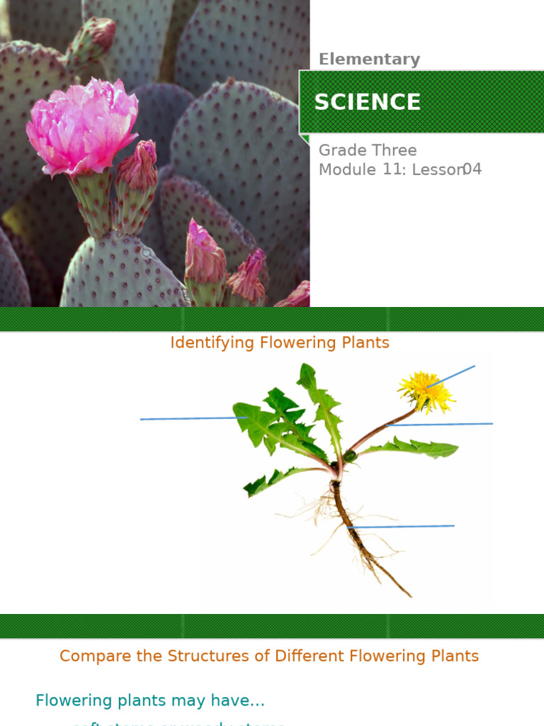 4900 Sciencegrade3 v17 Gs 1104 Classtimepresentation | PDF