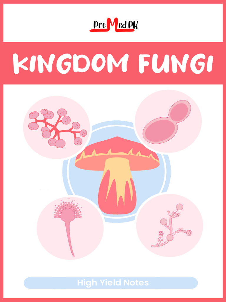 Overview of Kingdom Fungi | PDF | Fungus | Spore