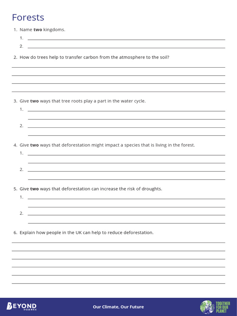 Forests Comprehension Questions | PDF