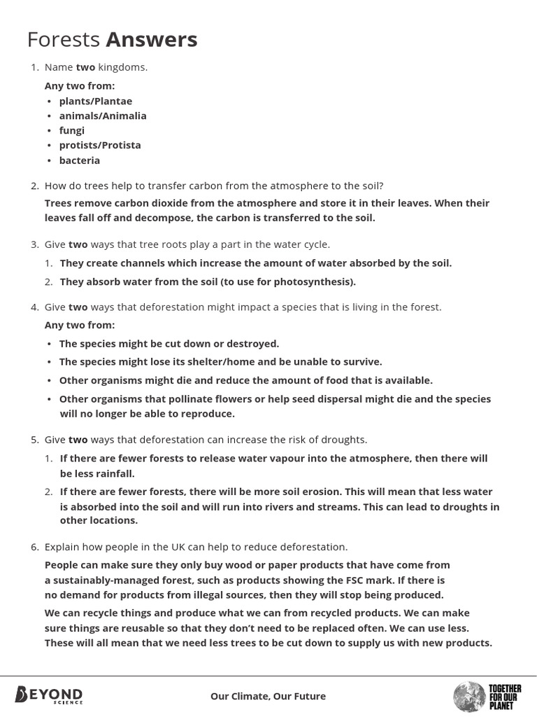 Forests Comprehension Answers | PDF