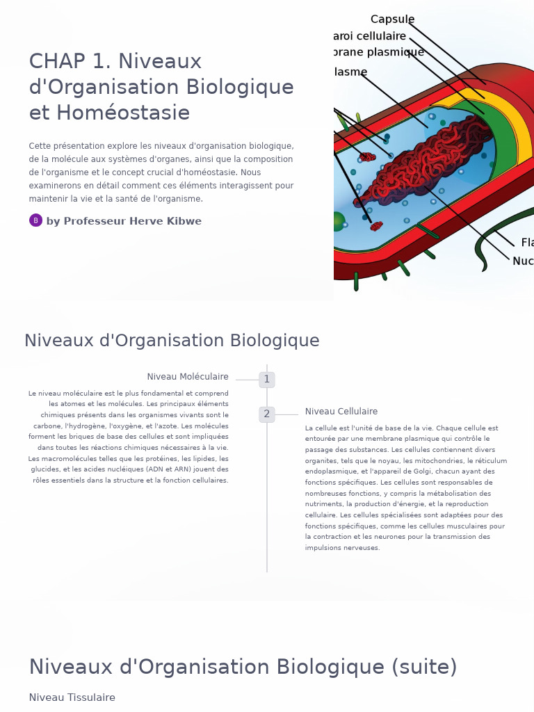 CHAP 1 INTRO Niveaux-dOrganisation-Biologique-et-Homeostasie | PDF | Cellule (Biologie) | Lipide