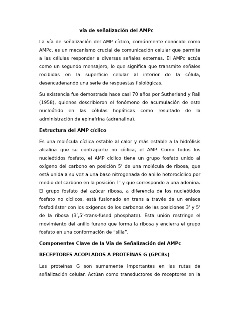Via de Señalización AMPc | PDF | Sinapsis | Transducción de señales