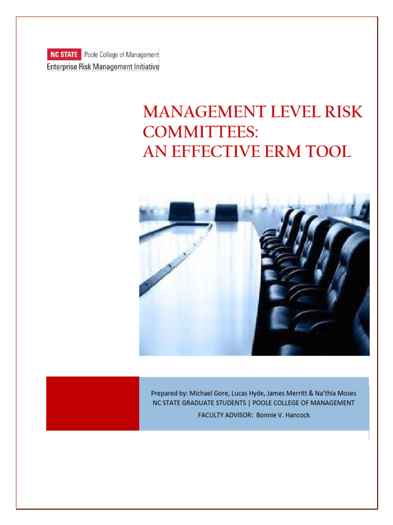 Management Level Risk Committees - An Effective ERM Tool-4 | PDF | Risk ...