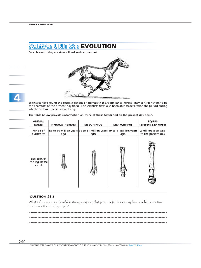 Evolution Pisa | PDF