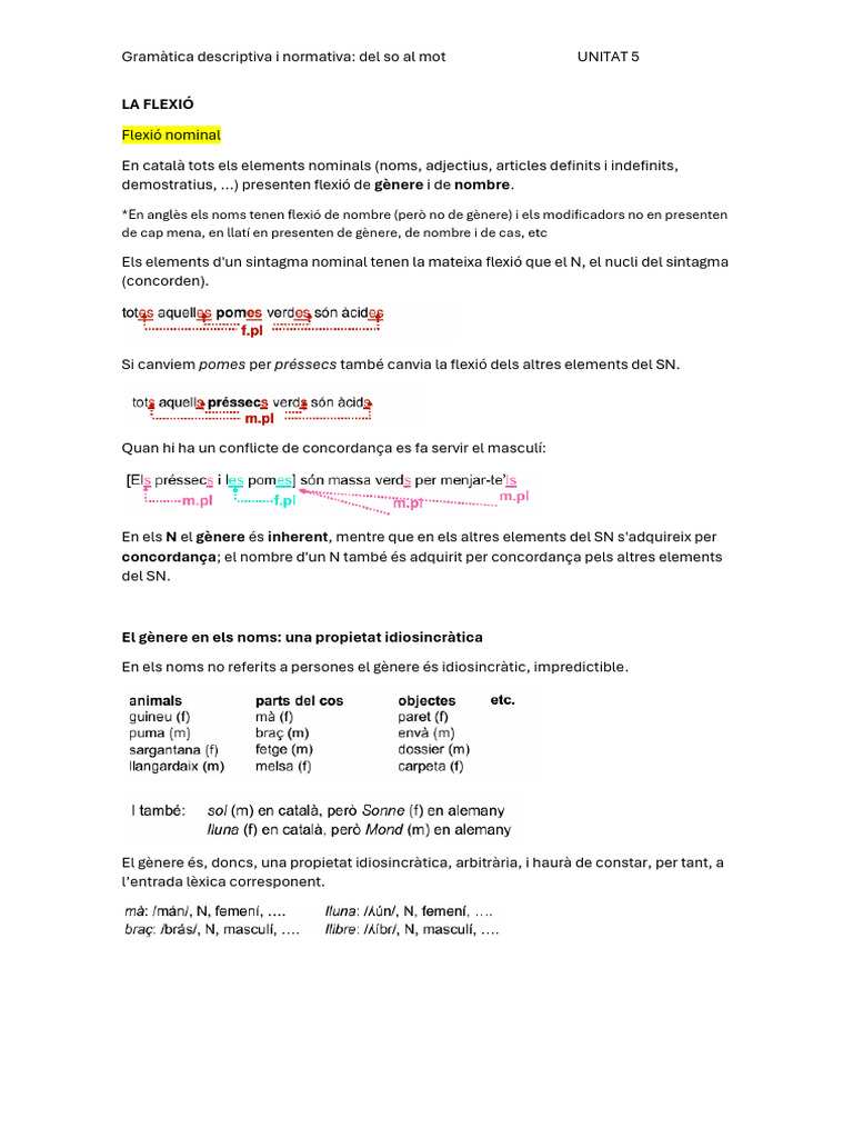 Apunts Tema 5 Gramàtica Descriptiva Del So Al Mot | PDF