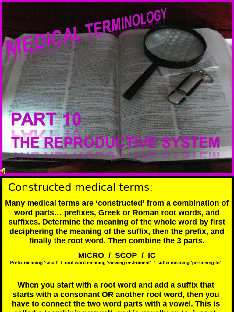 178 Med Term Part 10 | PDF | Reproductive System | Vagina