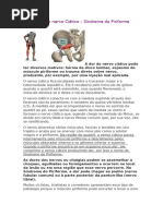 Anatomia e Função do Músculo Piriforme | PDF | Quadril | Pélvis
