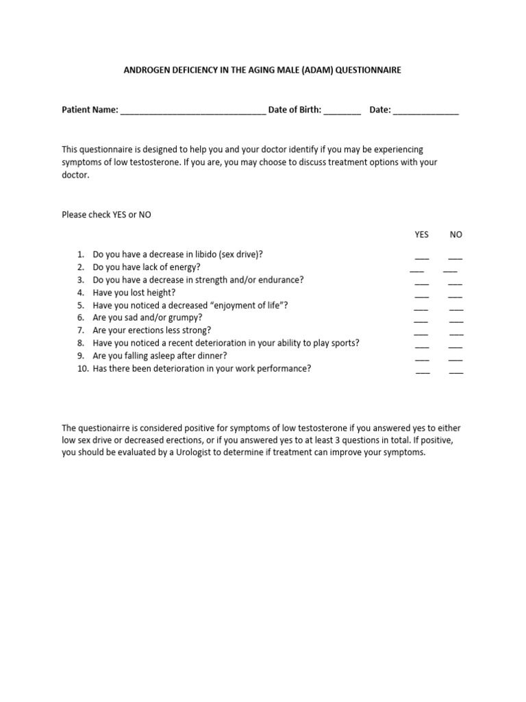 Websiteadam Questionnaire | PDF