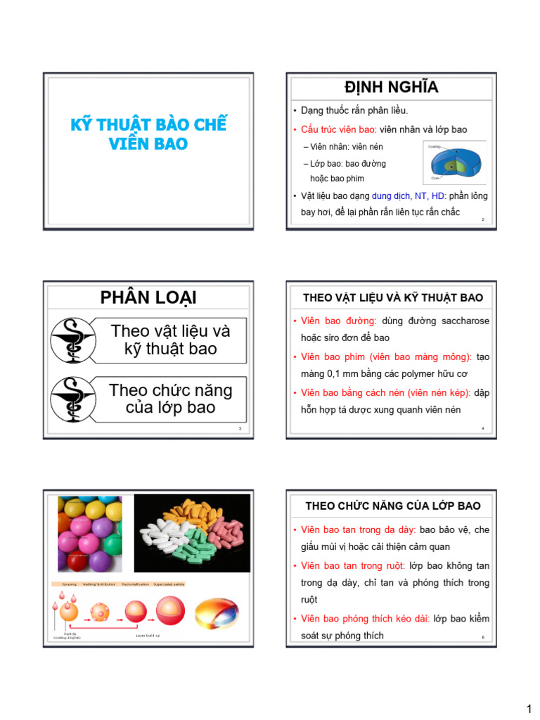 Chuong 10. Vien Bao | PDF