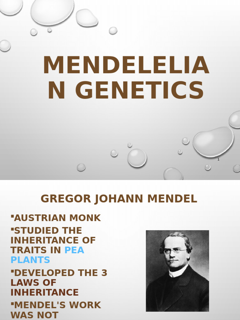 U6+L1+-+Mendelian+Genetics (1) | PDF | Dominance (Genetics) | Zygosity