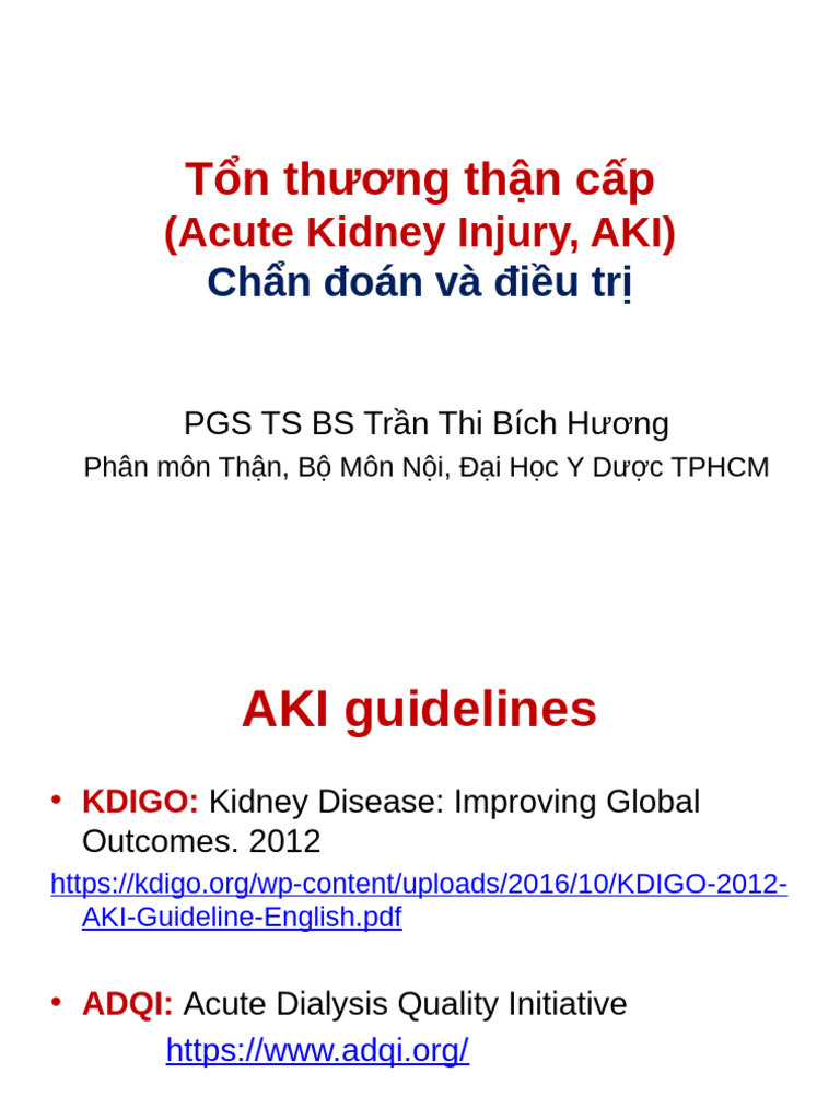 AKI PGS Hương-CK1.pptx - LV Sub | PDF