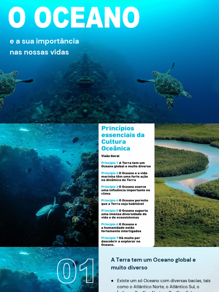 TP14 Importancia Oceano | PDF | Terra | Oceanos