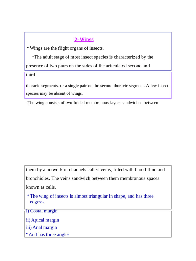 The Thorax & Its Appendages (4# | PDF | Insects | Zoology