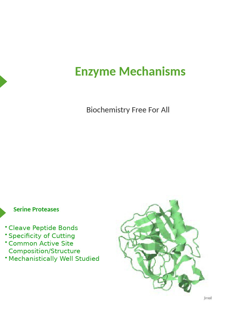 Enzyme Mechanism | PDF | Protease | Active Site