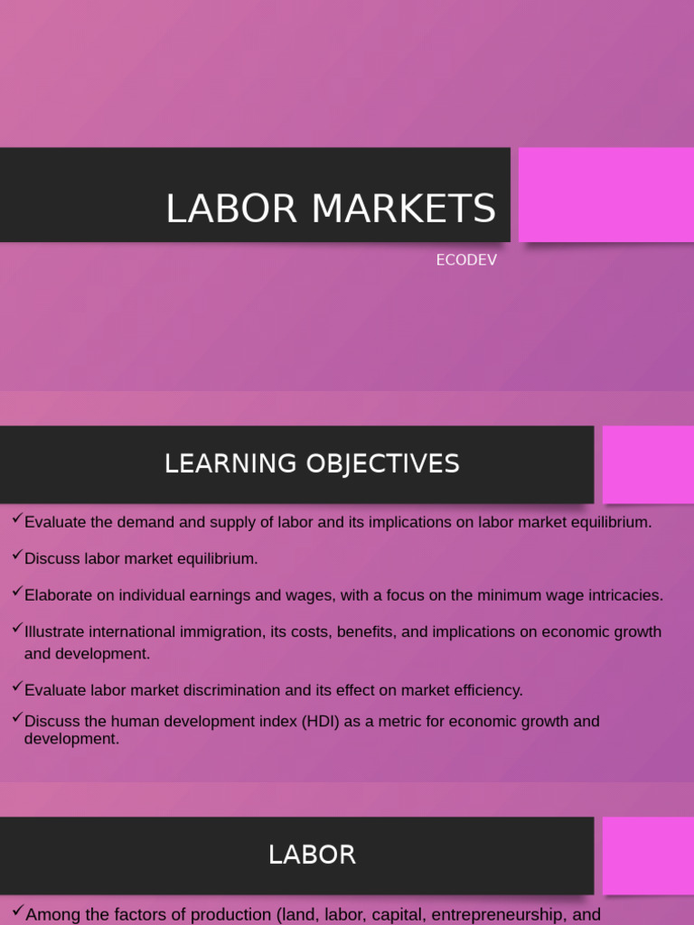 TOPIC 6-Labor Markets | PDF | Labour Economics | Supply (Economics)