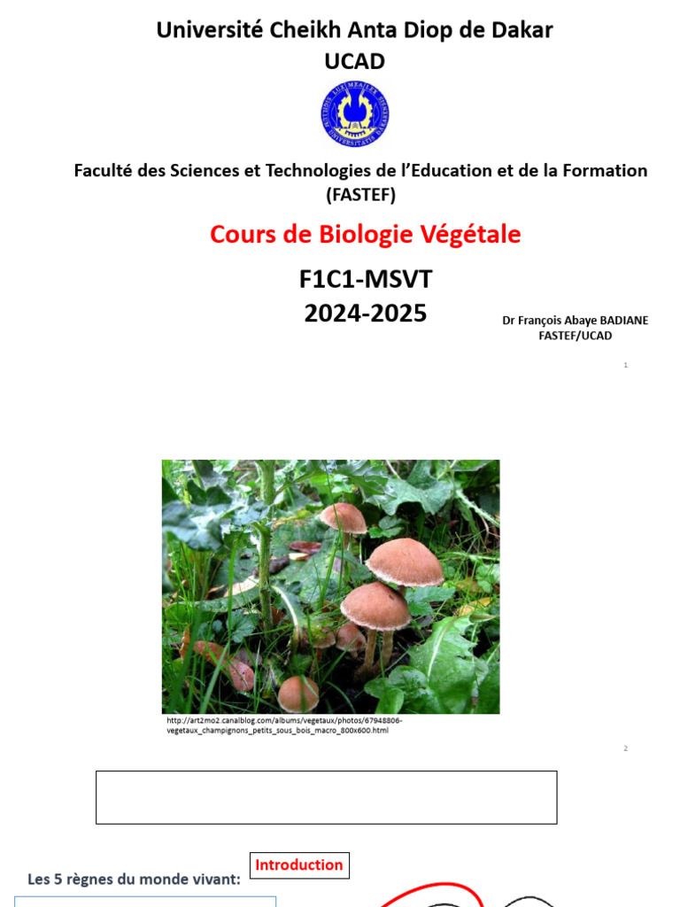Classification des Végétaux et Champignons | PDF | Plantes | Champignons