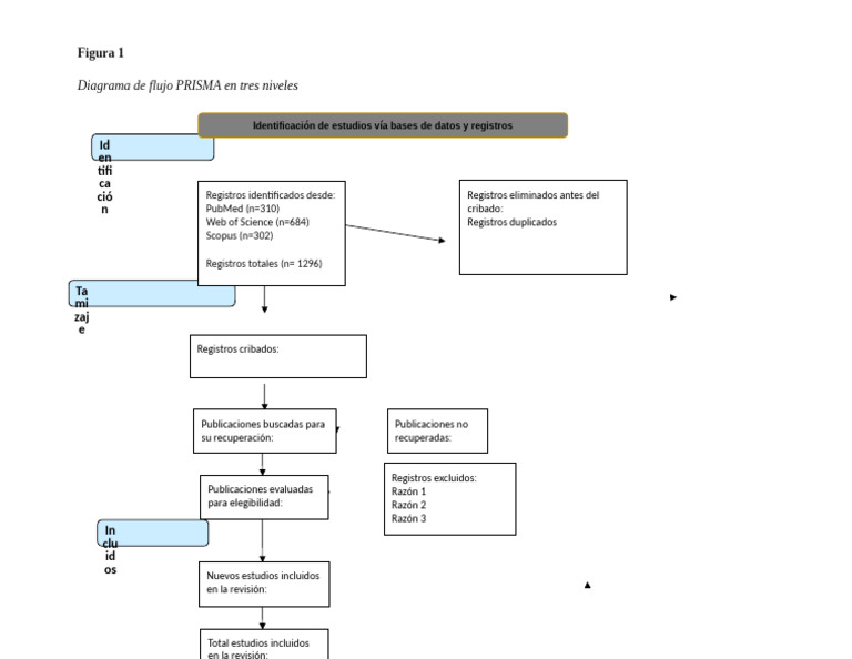 Diagrama PRISMA Base en Español | PDF