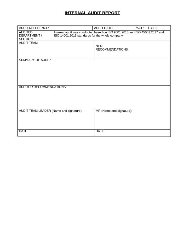 Internal Audit Report Draft | PDF