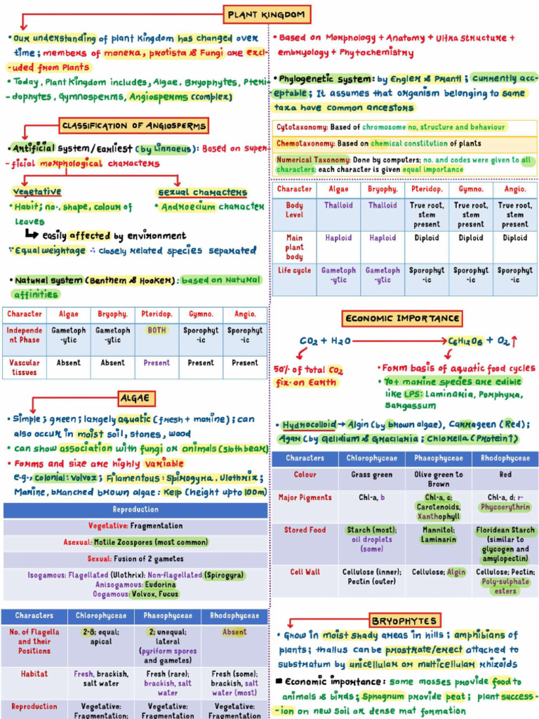 PLANT KINGDOM - Class Notes | PDF