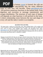 Specialised Animal Cells - Living Organisms - KS3 Biology - BBC ...