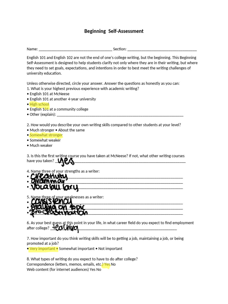 Writing Skills Self-Assessment Guide | PDF | Essays | Human Communication