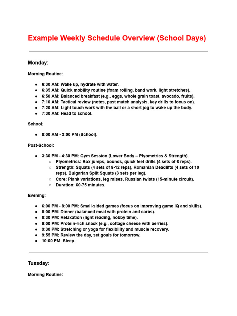 Example Weekly Schedule Overview (School Days) (1) | PDF | Salad | Lunch