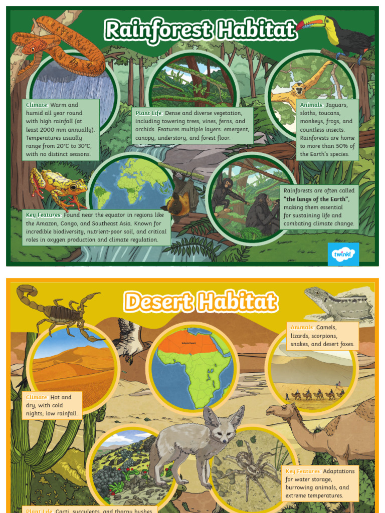 Za NST 1737969519 Animal Habitats Poster Project Exploring Habitats ...
