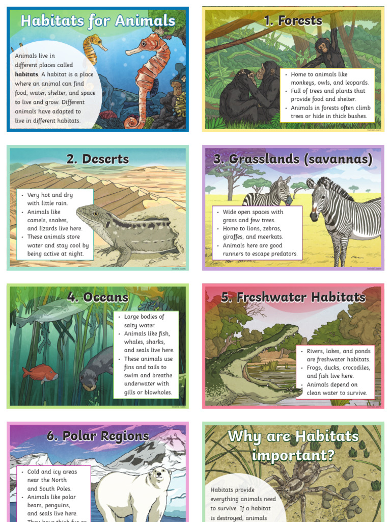 Za NST 1736060369 Habitats of Animals Fact Cards - Ver - 1 | PDF ...