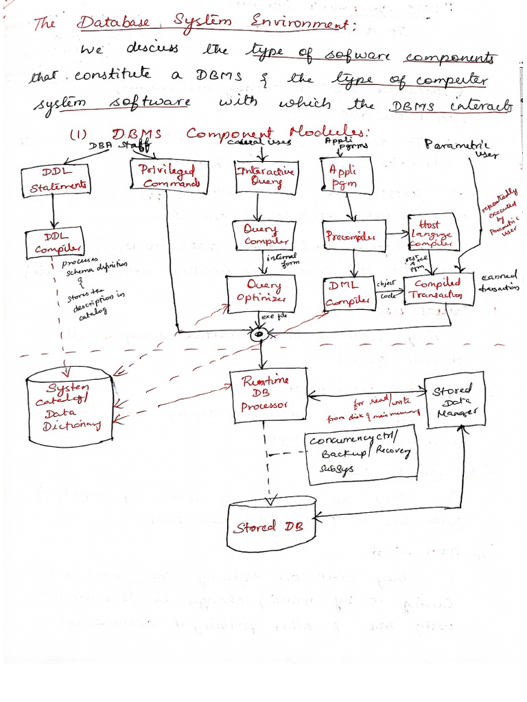 Database System Environment | PDF