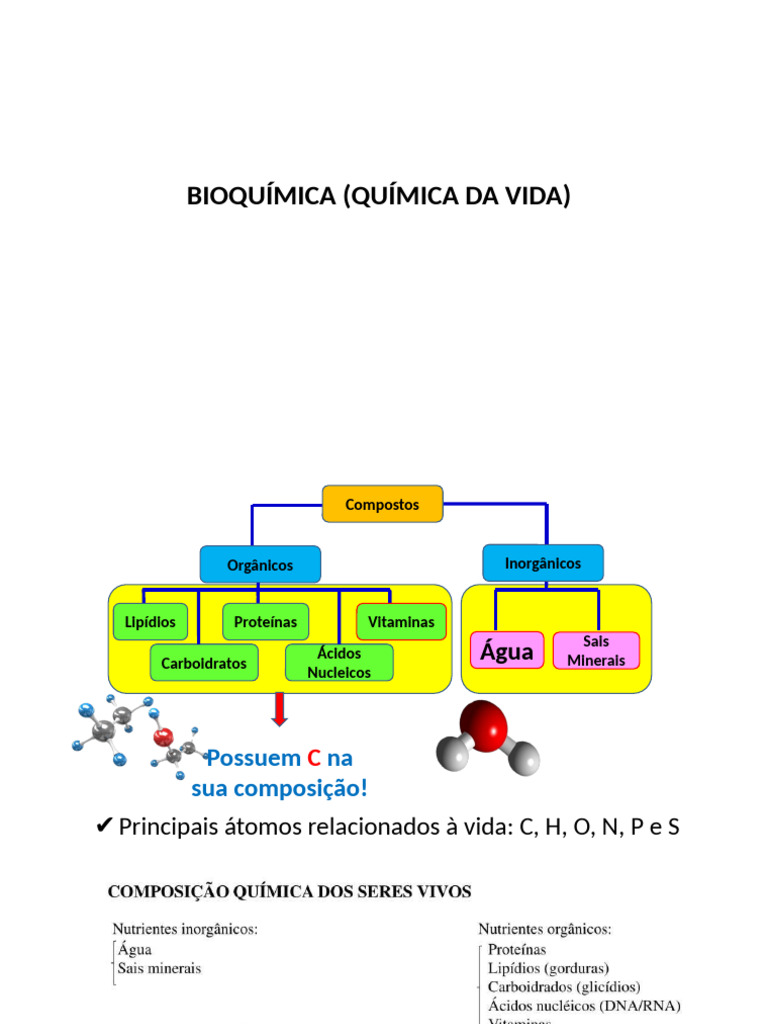 Biochemia: Composição e Origem da Vida | PDF | Abiogênese | Vida