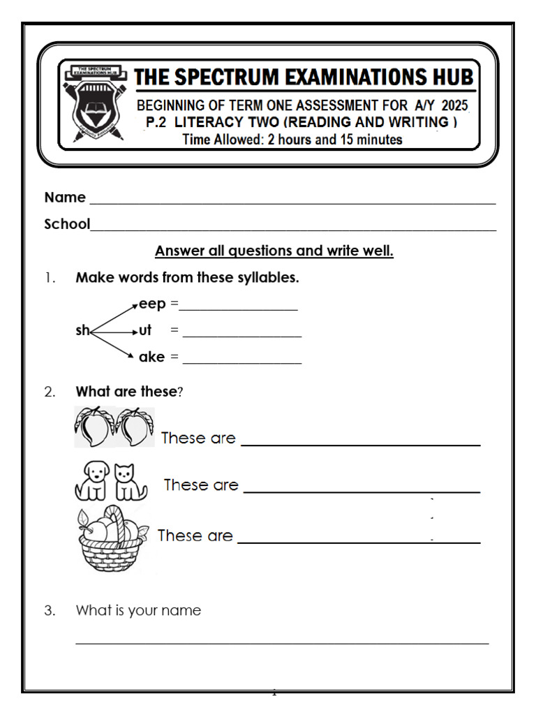 P.2 Bot 1 2025 Literacy 2 | PDF