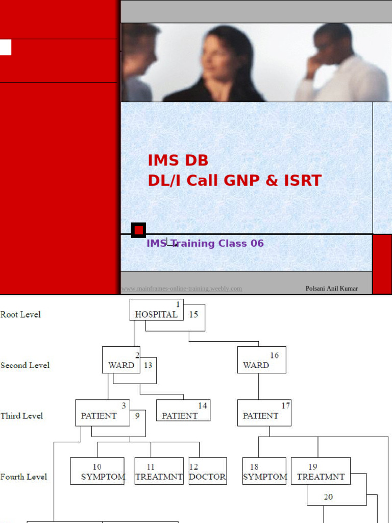 Ims-Db Training Class 06 | PDF | Computing | Computer Programming