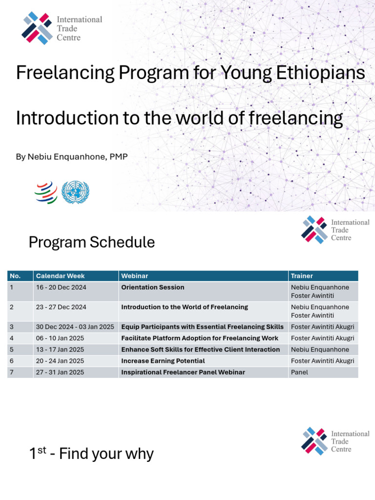 Freelancing Skills Program for Ethiopians | PDF | Freelancer | Income