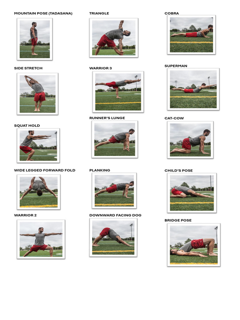 Essential Yoga Poses Guide | PDF