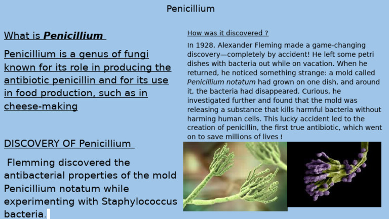 Bio poster | PDF