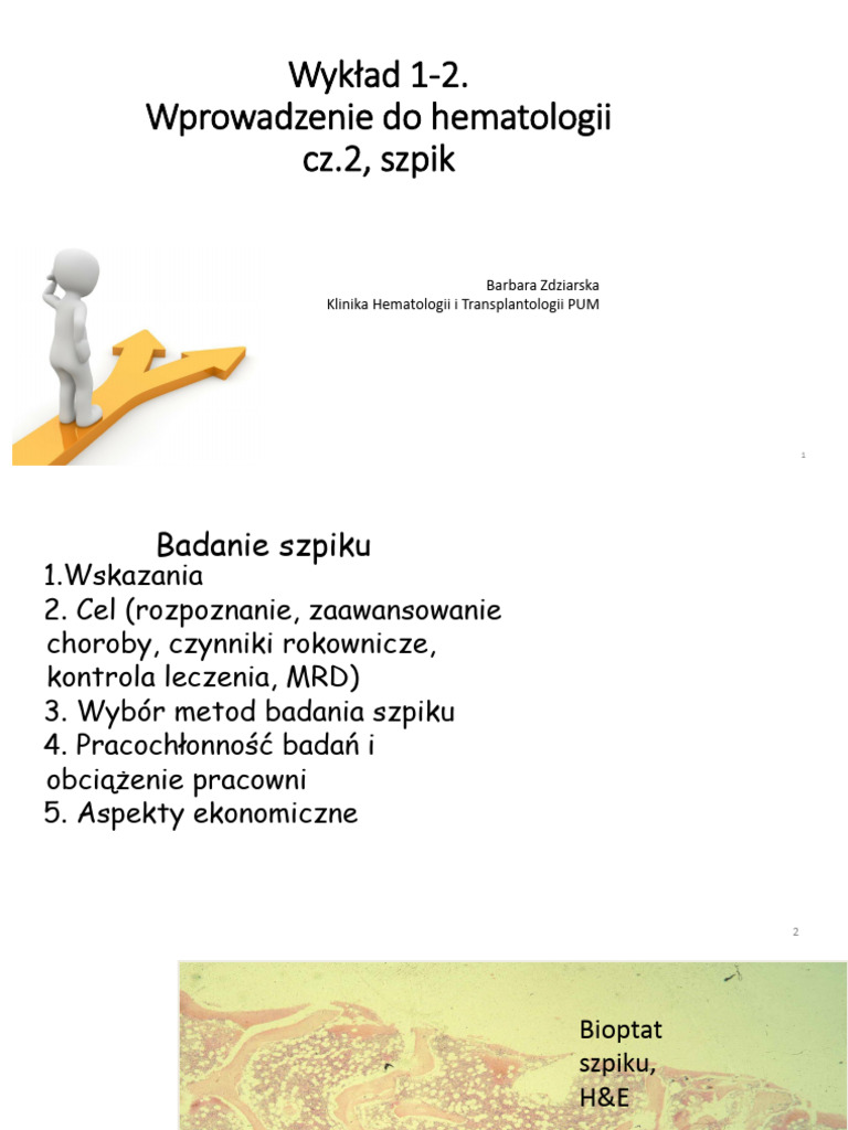 W2- Wprowadzenie Do Hematologii Cz. 2 - Szpik | PDF