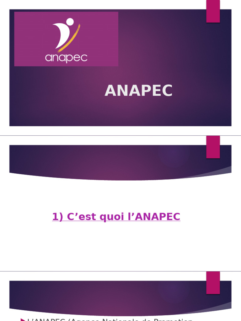 ANAPEC : Promotion de l'Emploi au Maroc | PDF