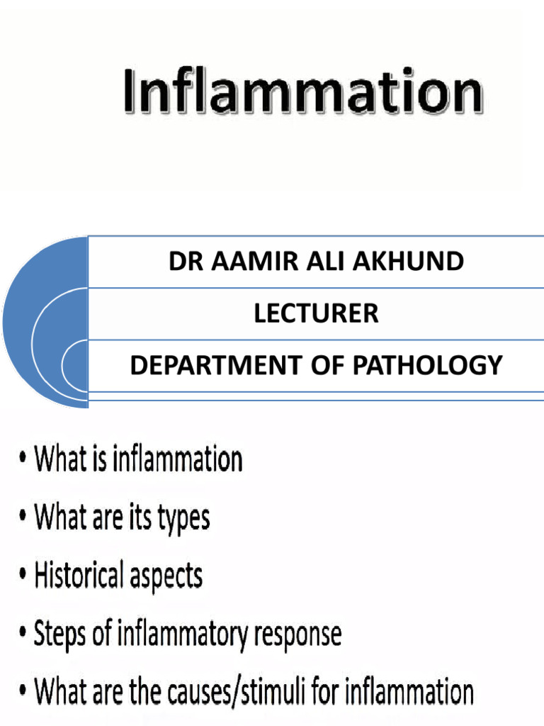 Lecture 1 Inflamation 2024 | PDF