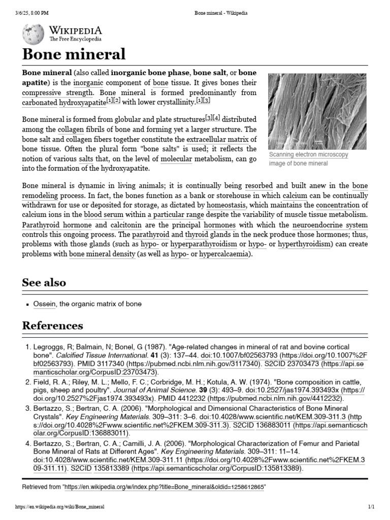 Bone Mineral - Wikipedia | PDF | Bone | Musculoskeletal System