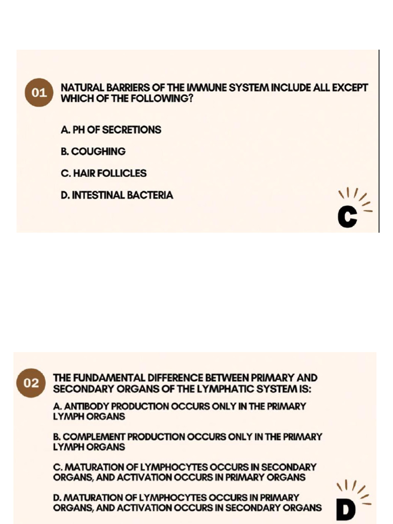 ISBB Reinforcement | PDF