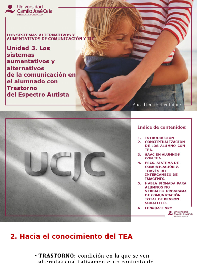 Tema 3. Saac y Tic. PDF | PDF | Autismo | Comunicación