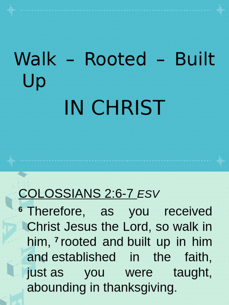 What Does A Walk Rooted and Built Up in Christ Look Like For A Genuine ...