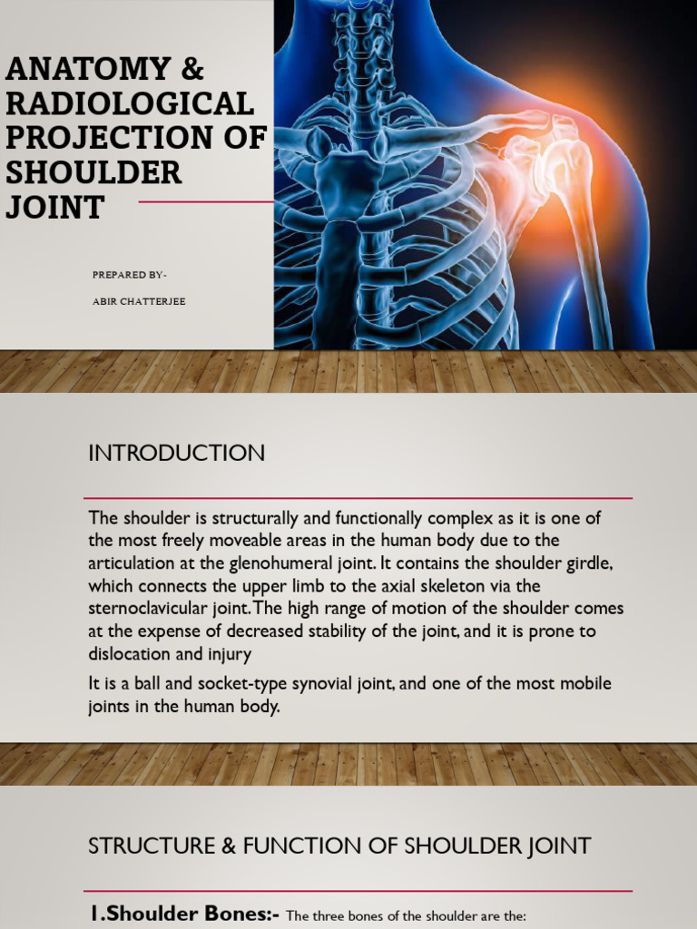 Shoulder Joint Anatomy and Projections | PDF | Shoulder | Human Anatomy