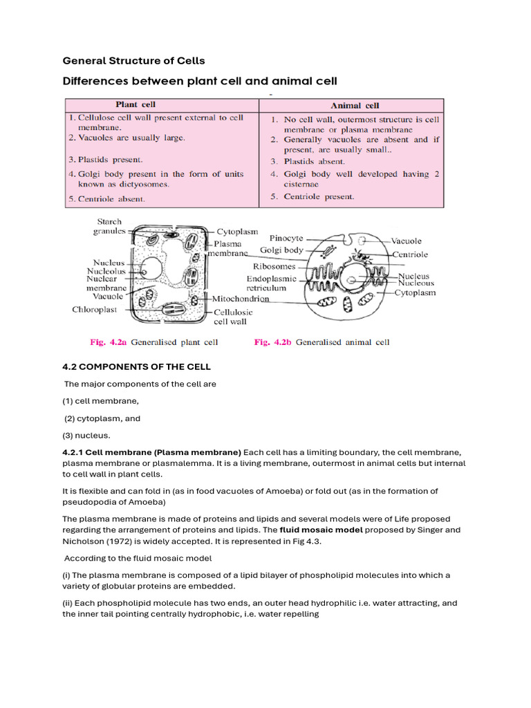 General Structure of Cells | PDF | Cell Membrane | Chloroplast