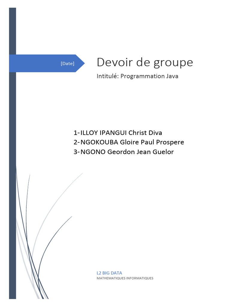 Devoir de Programmation Java L2 BIG DATA | PDF