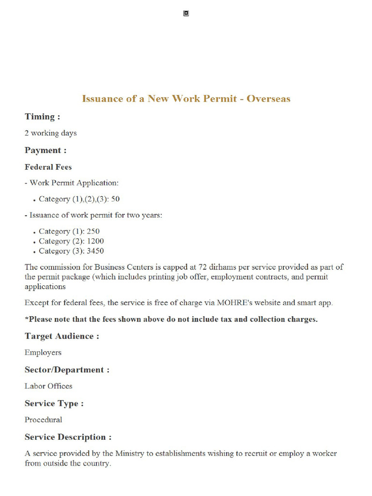 Issuance of A New Work Permit - Overseas | PDF