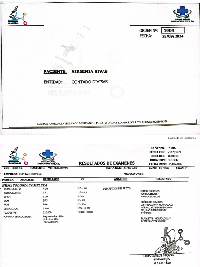 Virginia Rivas | PDF